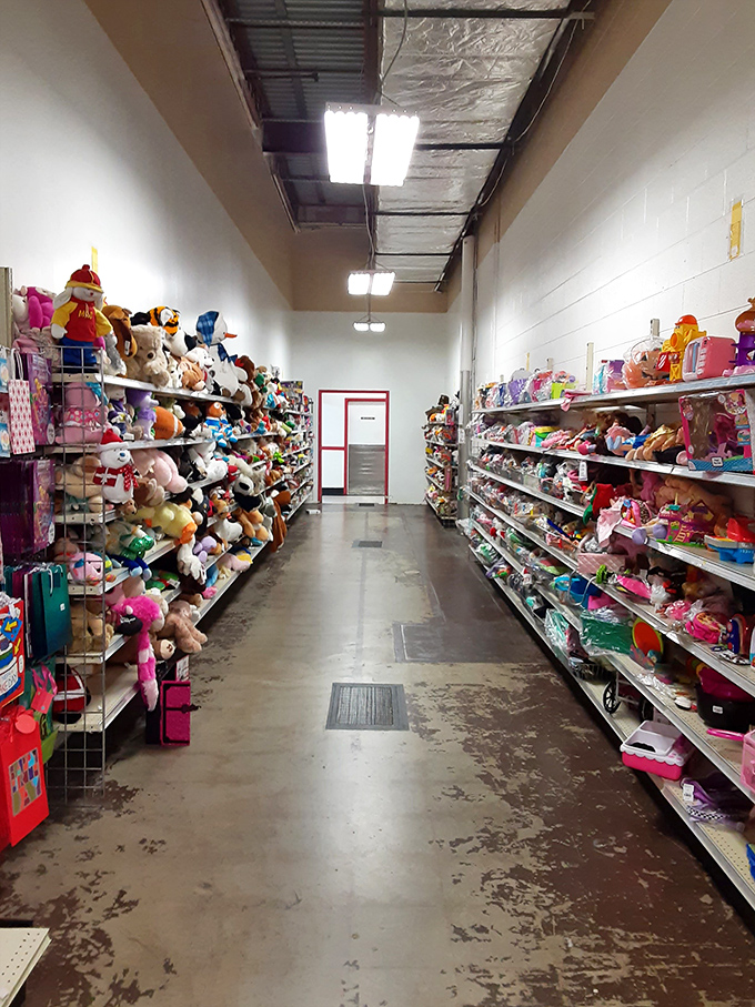 Stuffed animal paradise! A corridor of cuddly companions stands at attention, hoping to be adopted into loving homes.