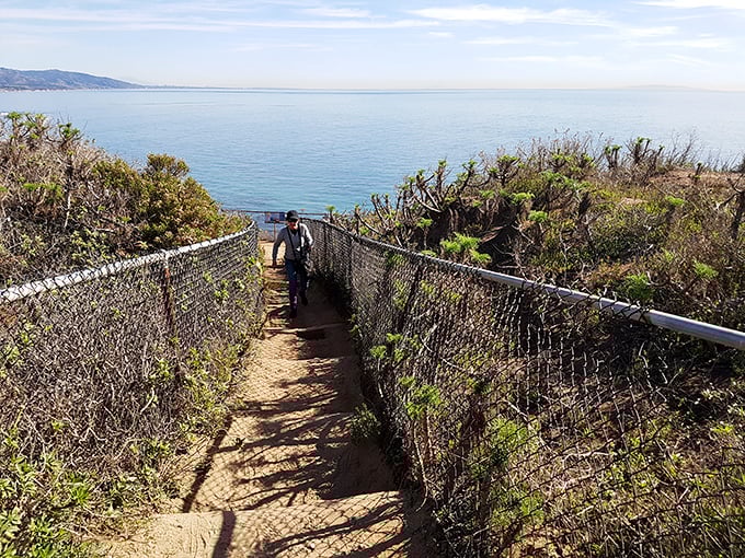 The trail beckons with promises of spectacular views ahead. Like the yellow brick road but with better scenery and fewer flying monkeys.