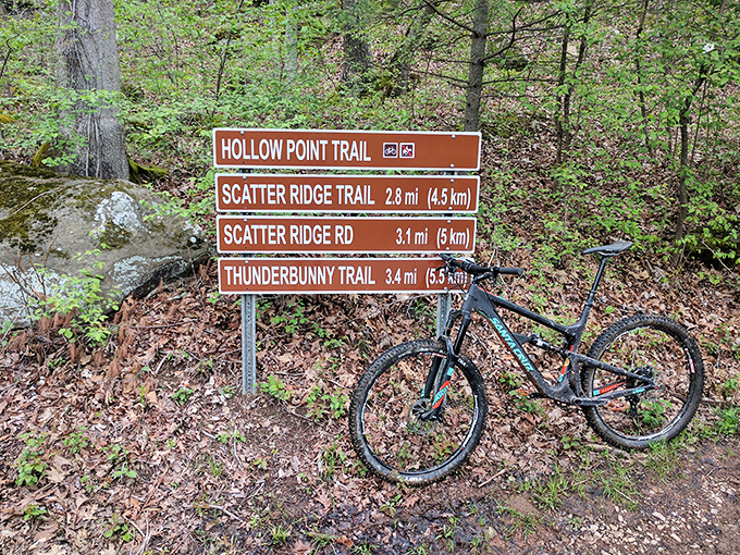 Choose your own adventure at the trail crossroads. The "Thunderbunny Trail" alone is worth the trip for its name.