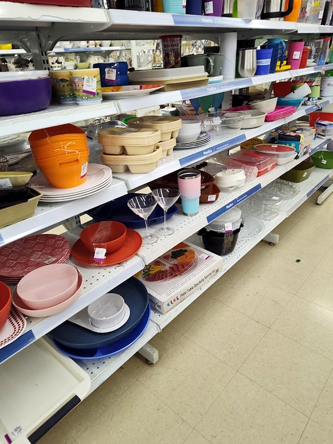 Tupperware dreams come true! This plastic fantastic paradise is where meal prep meets nostalgia. Grandma's jello mold might be hiding here somewhere.