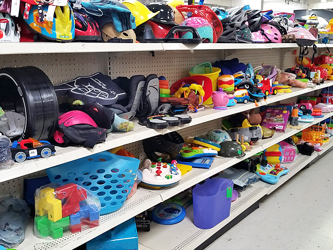 Childhood nostalgia by the shelf-full. One kid's outgrown toy is another's new best friend, all priced less than a fancy coffee.