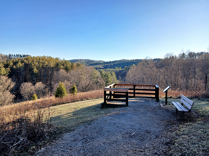Nature's observation deck &ndash; where contemplating life's big questions comes with a view that makes the answers seem less important.