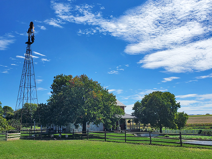 The towering windmill stands like a mechanical timekeeper, marking seasons rather than minutes in Lancaster County.