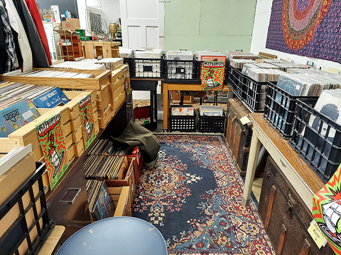 Record heaven for vinyl enthusiasts, where album hunting becomes archaeology and that orange chair invites musical contemplation.