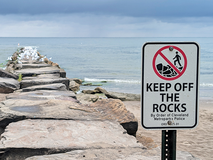 The sign says "Keep Off The Rocks," but those seagulls clearly can't read. Lake Erie's most rebellious residents claim their stone thrones.