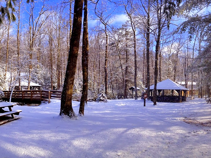 Winter blankets the park in pristine white, turning familiar summer haunts into a serene wonderland that would make Narnia jealous.