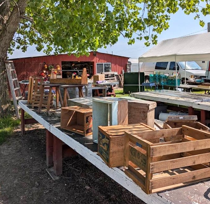 Wooden crates that once carried apples and produce now await creative minds who see beyond their weathered slats to endless upcycling possibilities.