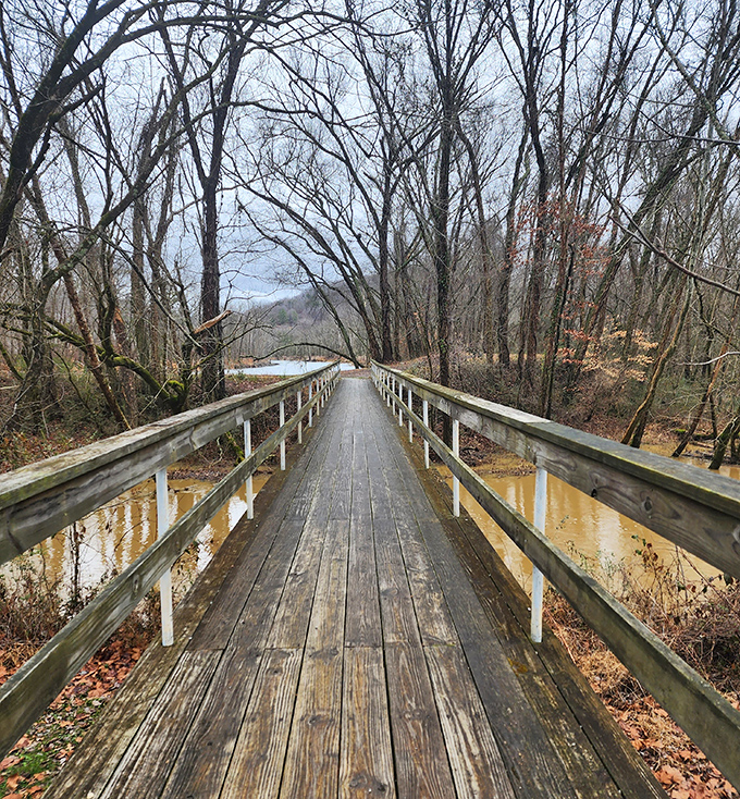 The wooden footbridge stretches through winter-bare trees, promising adventure on the other side like something from a Frost poem.