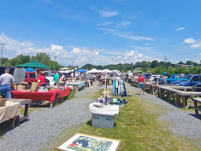 At Andrick's Front Royal Fleamarket, the open-air shopping experience feels more like a treasure hunt than retail therapy.