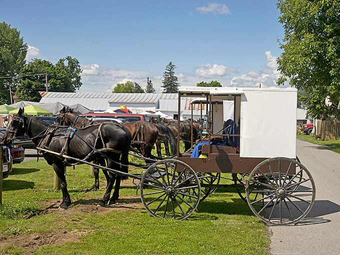 Belleville's country roads wind through farmland where the same families have been perfecting recipes for generations.