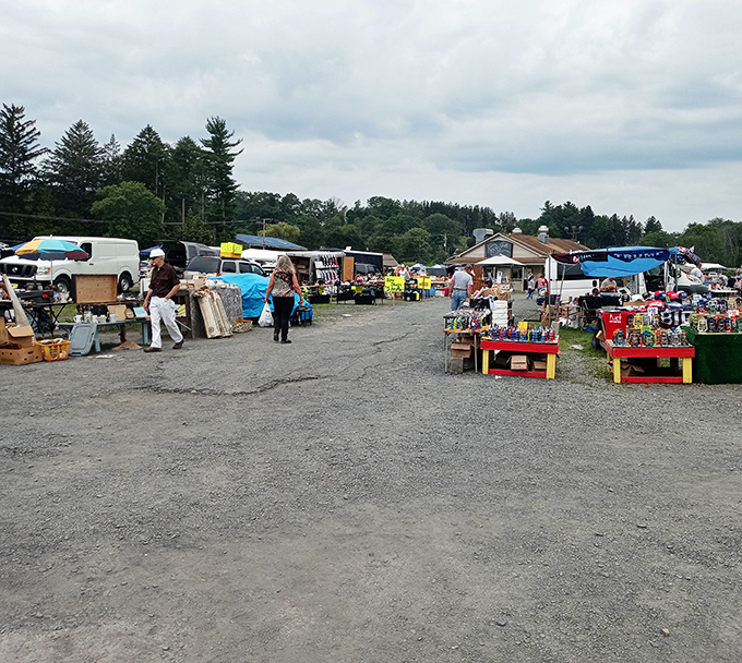 Blue Ridge's outdoor setup proves that the best shopping experiences don't need fancy buildings, just passionate vendors and eager buyers.