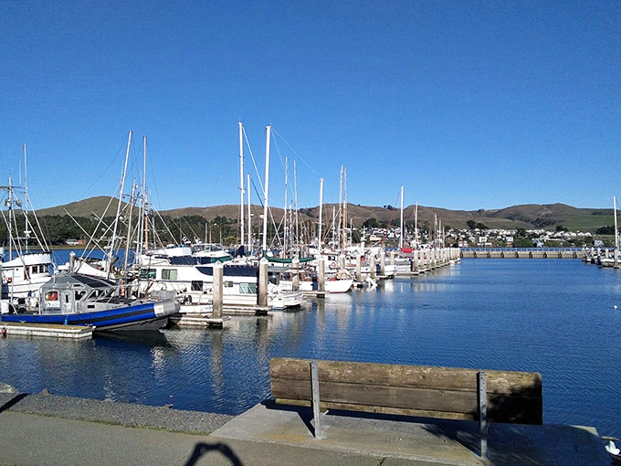 Rolling hills frame this peaceful harbor where fishing boats rest between their ocean journeys.
