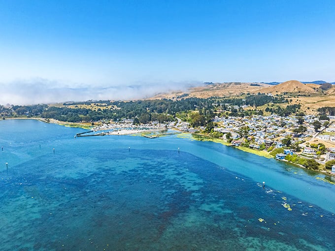 Bodega Bay's protected harbor shelters crab boats and sea lions while Hitchcock's "Birds" filming location remains peacefully scenic.