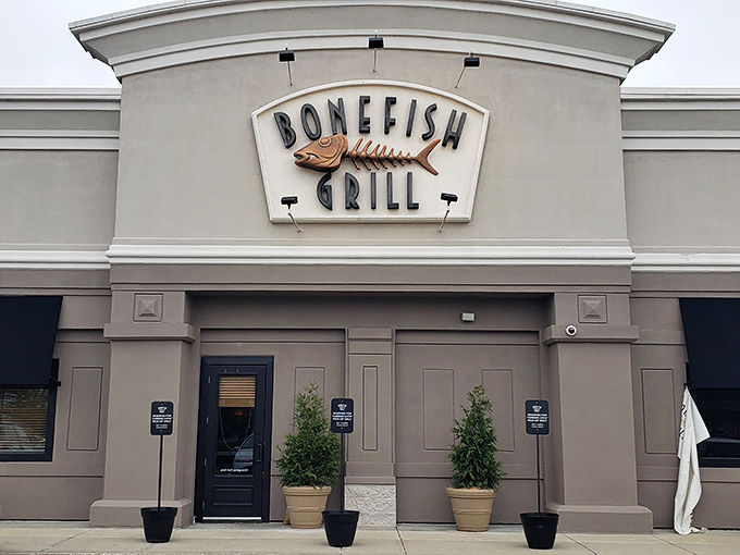 Upscale chain dining done right means consistent excellence that never disappoints your special occasion expectations.