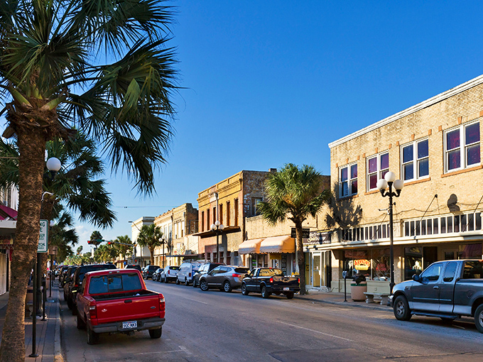 Brownsville's palm-lined streets dance with border culture, where two nations meet and create something beautifully unique and vibrant.