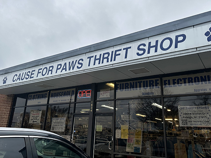 "Cause for Paws" isn't just a clever name &ndash; every purchase here helps furry friends find forever homes.