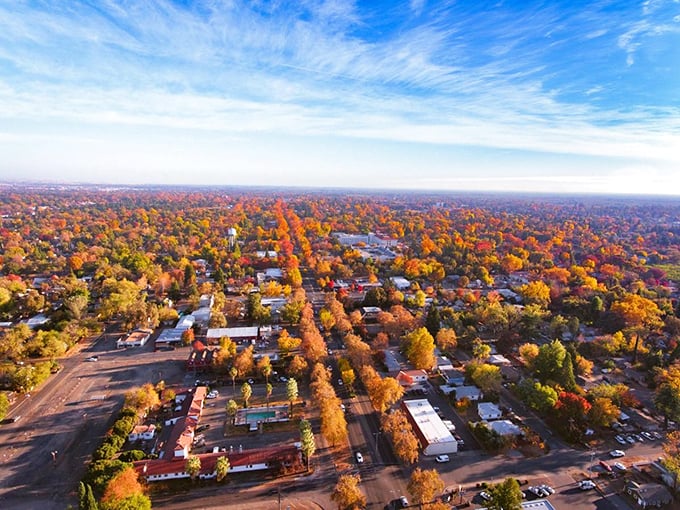 Chico's autumn colors paint the college town in warm hues that make every day feel special.