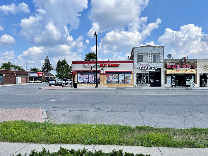 Dearborn's main street offers affordable shopping and dining options in a community-centered atmosphere just outside Detroit.