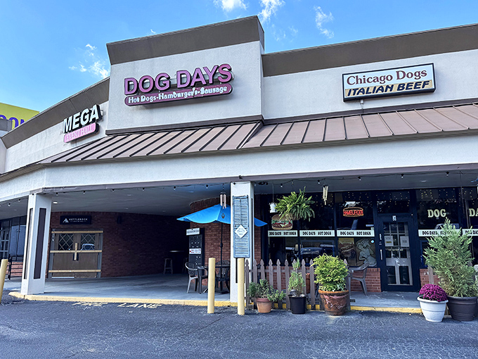 Modern strip mall exterior hides old-fashioned hot dog magic waiting to be discovered inside.