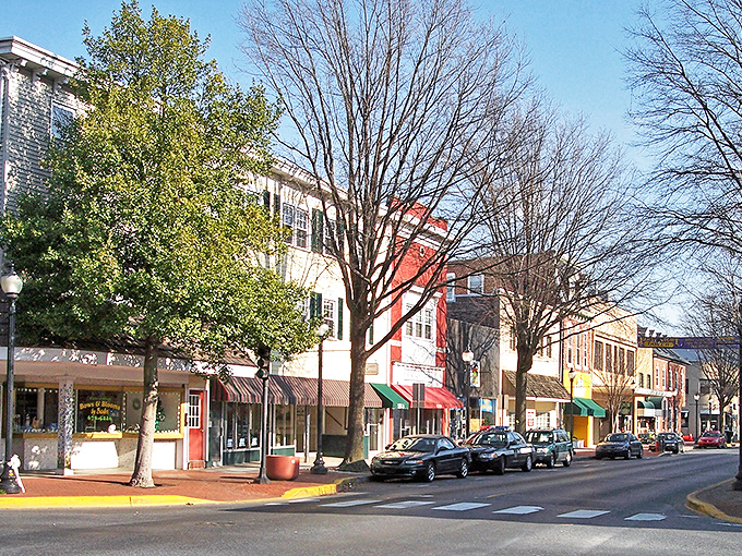 A tree-lined street in Dover where history whispers from every corner.