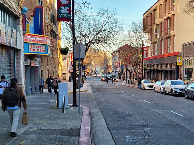 Downtown streets buzz with that perfect blend of working city energy and historic charm that makes exploring on foot irresistible.