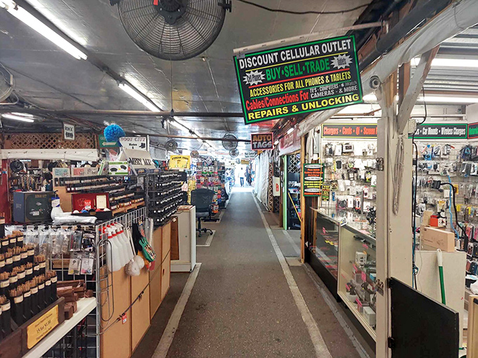 Indoor organization meets outdoor variety in these clean, well-lit aisles perfect for serious treasure hunting.