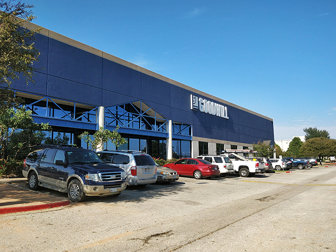 Goodwill's sleek blue exterior stands in stark contrast to the beautiful chaos of "the Bins" inside – a thrifting experience not for the faint of heart.