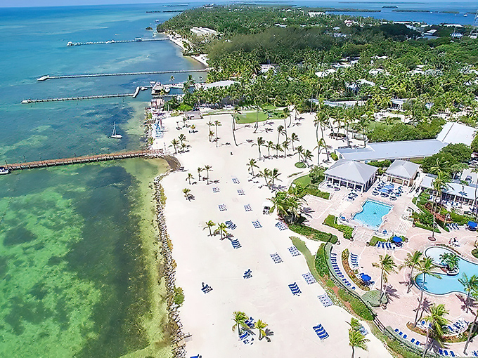 Islamorada's crystal-clear waters reveal underwater worlds that make snorkeling feel like flying through aquariums.