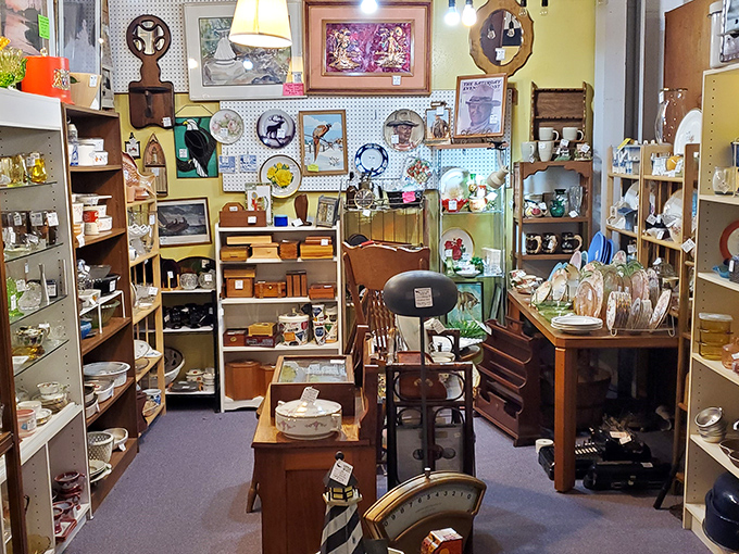 Don't judge this book by its cover - small spaces often hold big surprises.