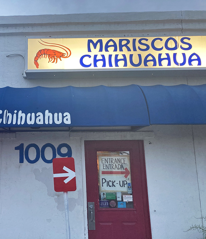 That dancing shrimp logo and bold blue lettering promise authentic Mexican seafood traditions live here.