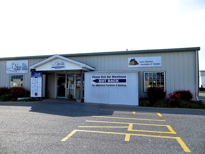 That &ldquo;Out Back&rdquo; sign feels like a secret clue &ndash; leading straight to bargain treasures waiting to be discovered!