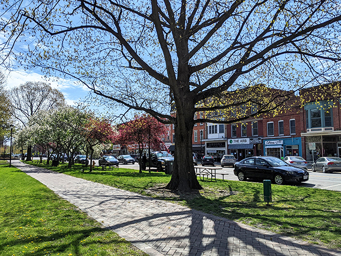 Blossoming budget-friendly beauty! Oberlin's brick pathways invite seniors to stroll through a town where retirement funds and cherry trees both flourish.