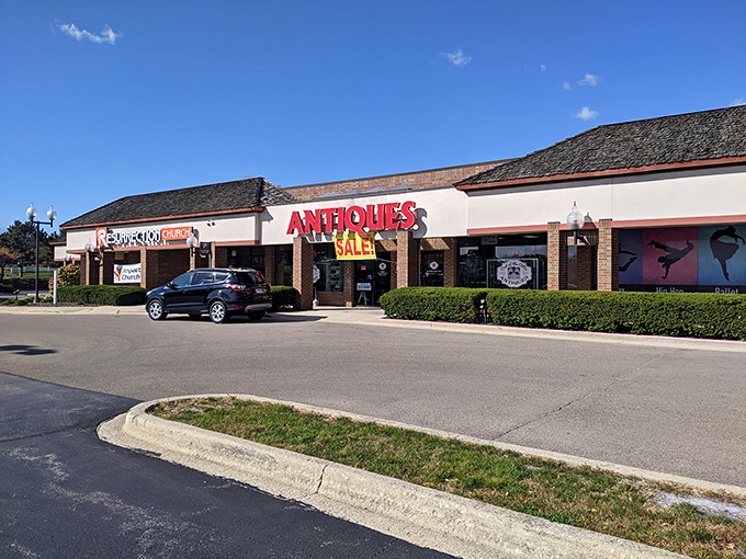 Modern shopping meets vintage soul in this clean, organized space where antiques get the respect they deserve.