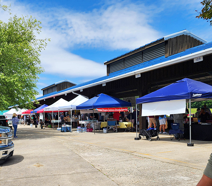 Blue pavilions provide perfect shelter for browsing treasures at the Piedmont Triad Farmers Market experience.