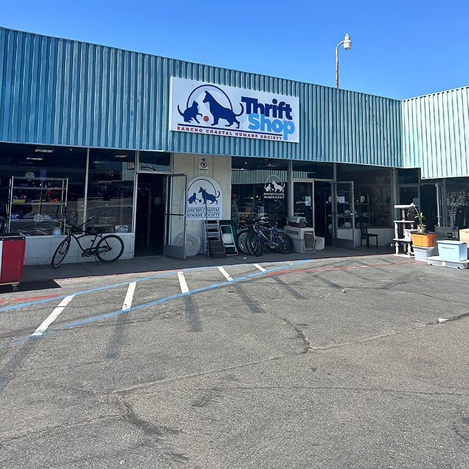 Teal dreams for furry friends! This coastal thrift shop turns your bargain hunting into life-saving support for shelter animals.