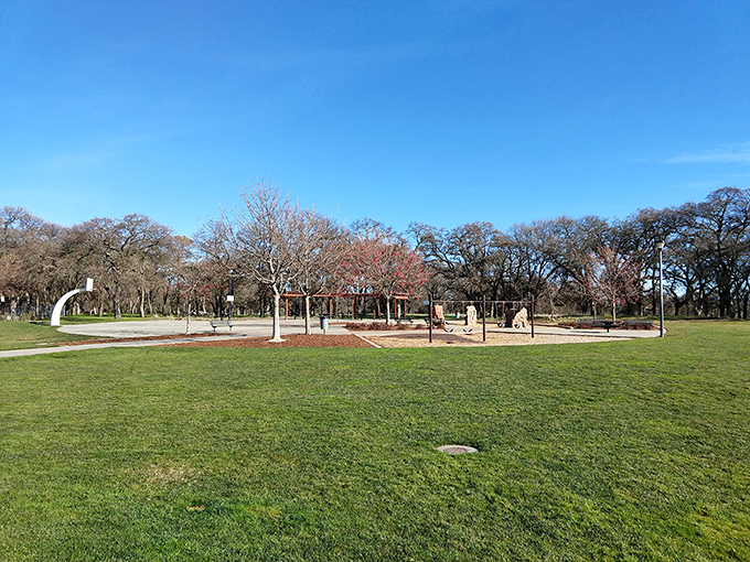 Wide tree-lined avenues create the kind of neighborhood where kids still ride bikes safely.