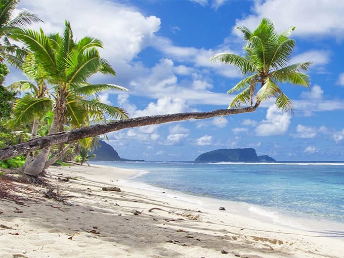 Samoa's tropical paradise vibes transport you to an island getaway without leaving California's friendly borders.