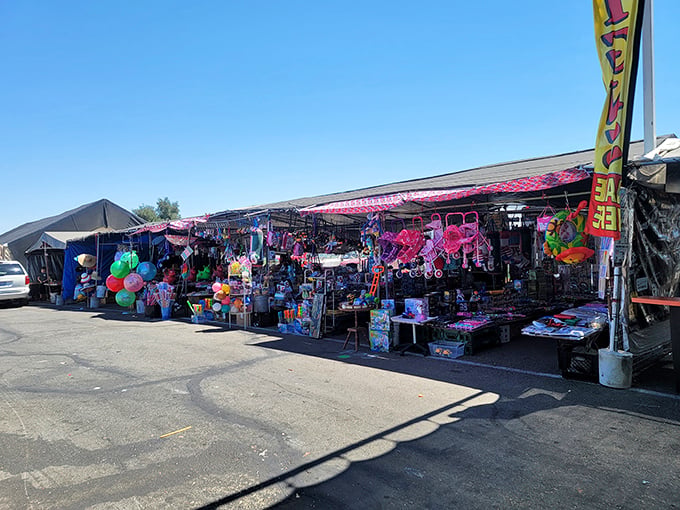 Covered stalls provide shade while vendors display everything from toys to tools in organized chaos.
