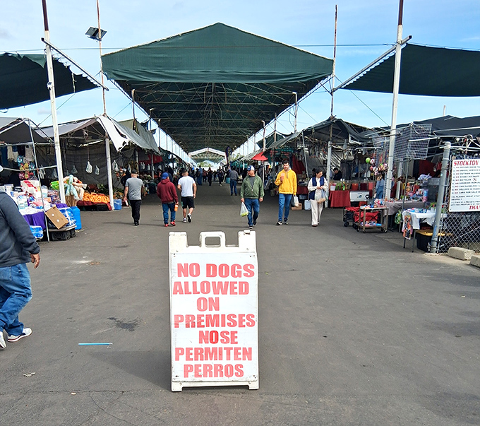 Covered pavilions protect shoppers from Central Valley heat while they hunt for deals on everything imaginable.