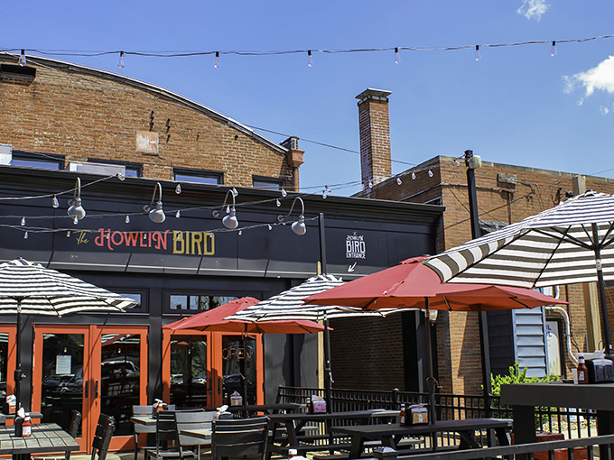 The Howlin Bird's trendy patio setup suggests this North Canton spot takes both atmosphere and chicken seriously.