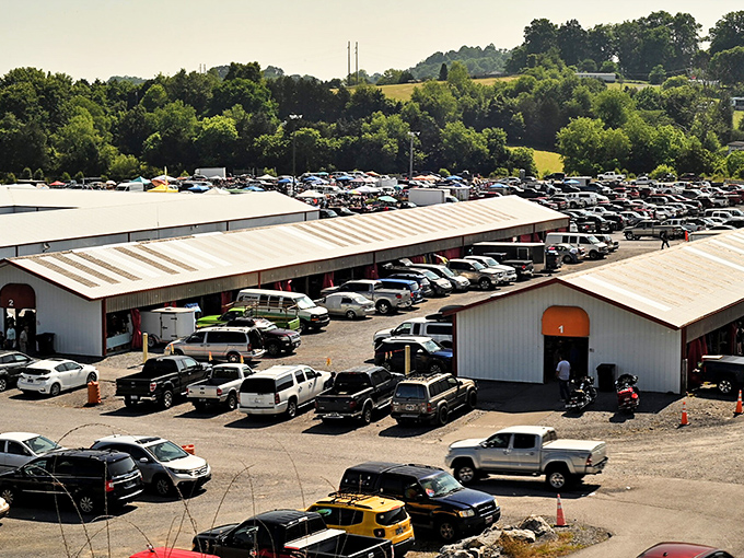 Tri Cities Flea Market's sprawling buildings and packed parking lot - where "just browsing" becomes a full-day expedition.