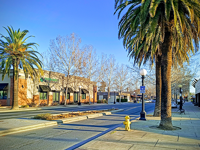 Yuba City's quiet streets hold surprises - who knew paradise was hiding in the northern Valley.