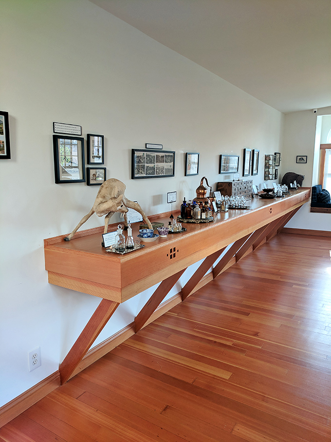 Museum meets perfumery in this intimate space dedicated to humanity's oldest luxury obsession.