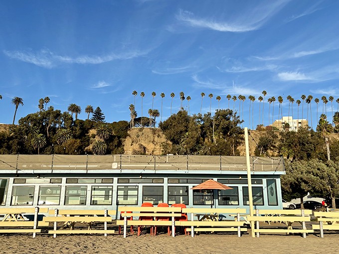 People-watching paradise where roller skaters and smoothie bowls create quintessential California beach culture.