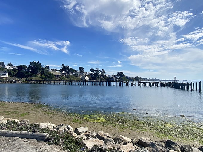 Bodega Bay's dramatic coastline reminds you why California's coast captures hearts and imaginations worldwide.