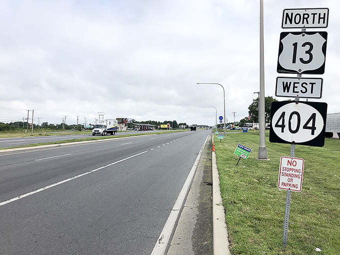 Highway 404 stretches toward Bridgeville, its wide-open spaces and minimal traffic embodying the breathing room retirees crave.