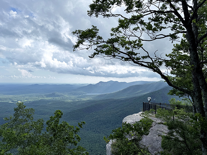 Nature's infinity pool! From this perch, the Blue Ridge Mountains ripple outward like waves frozen in time&mdash;better than any resort view in Miami.