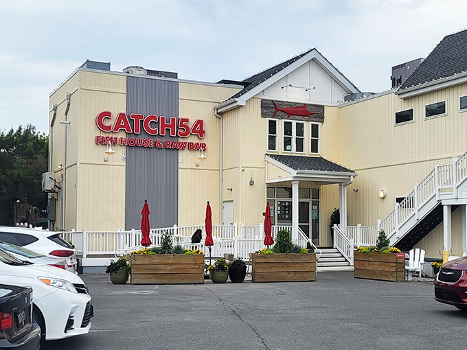 That crisp white exterior promises clean flavors and messy fingers - the perfect seafood combination. 