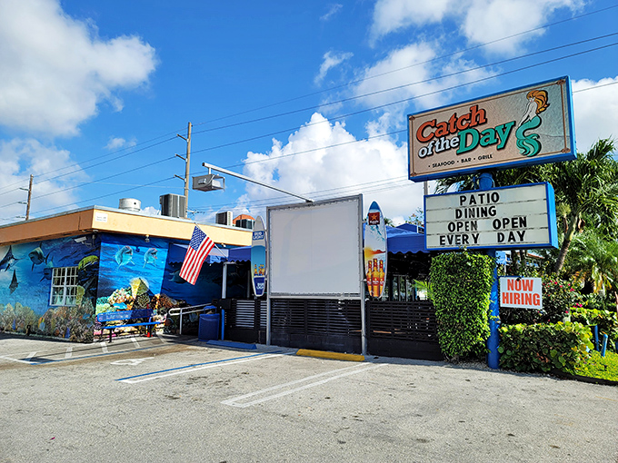 Miami's Catch of the Day wears its ocean inspiration on its walls &ndash; a colorful preview of the seafood treasures within.