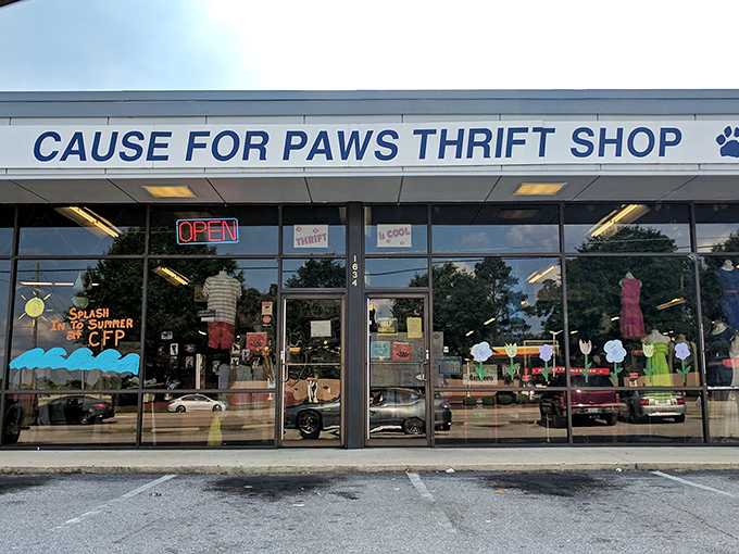Those colorful window displays at Cause for Paws are like a preview of the rainbow of bargains waiting inside.